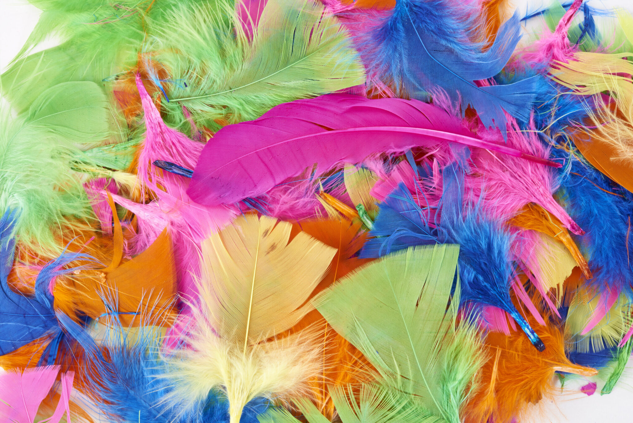 Feathers – Crafts and More