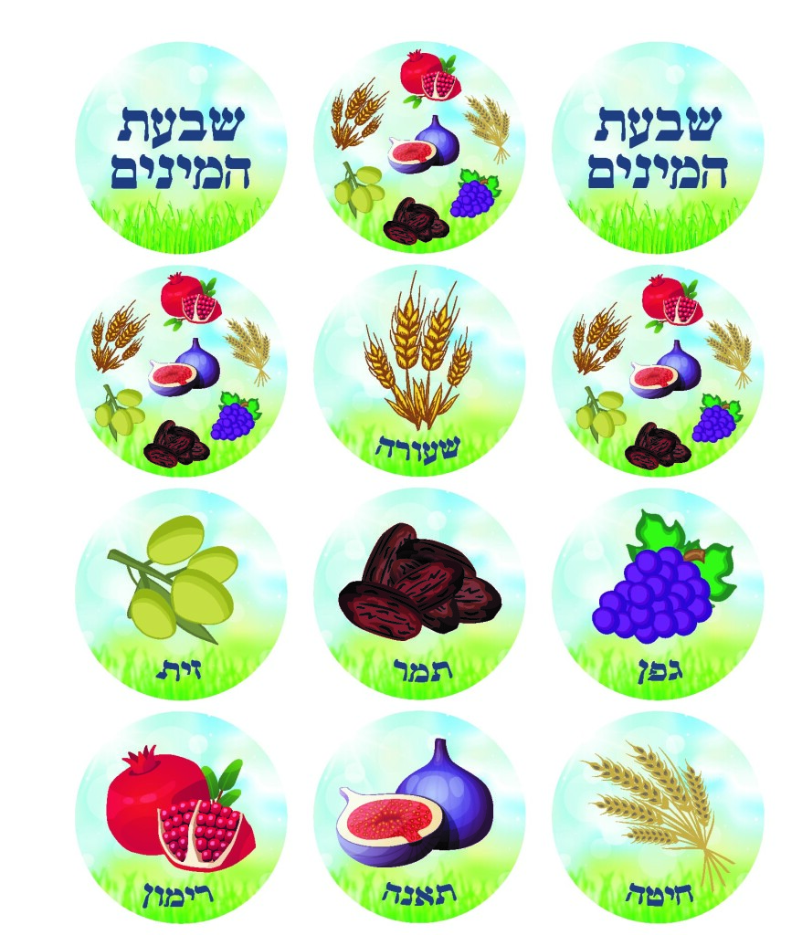Shivas Haminim Stickers – Crafts and More