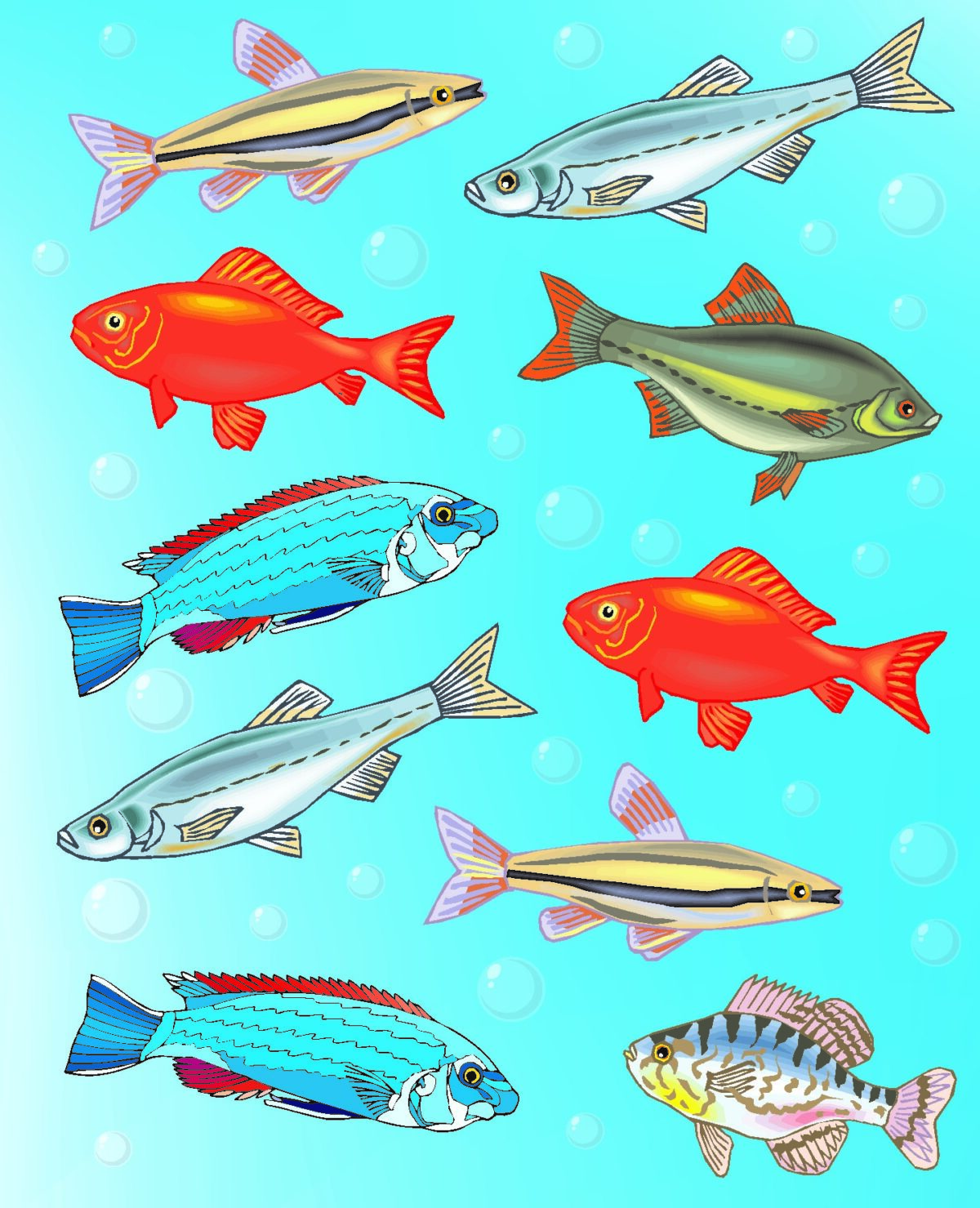Big Fish Stickers – Crafts and More