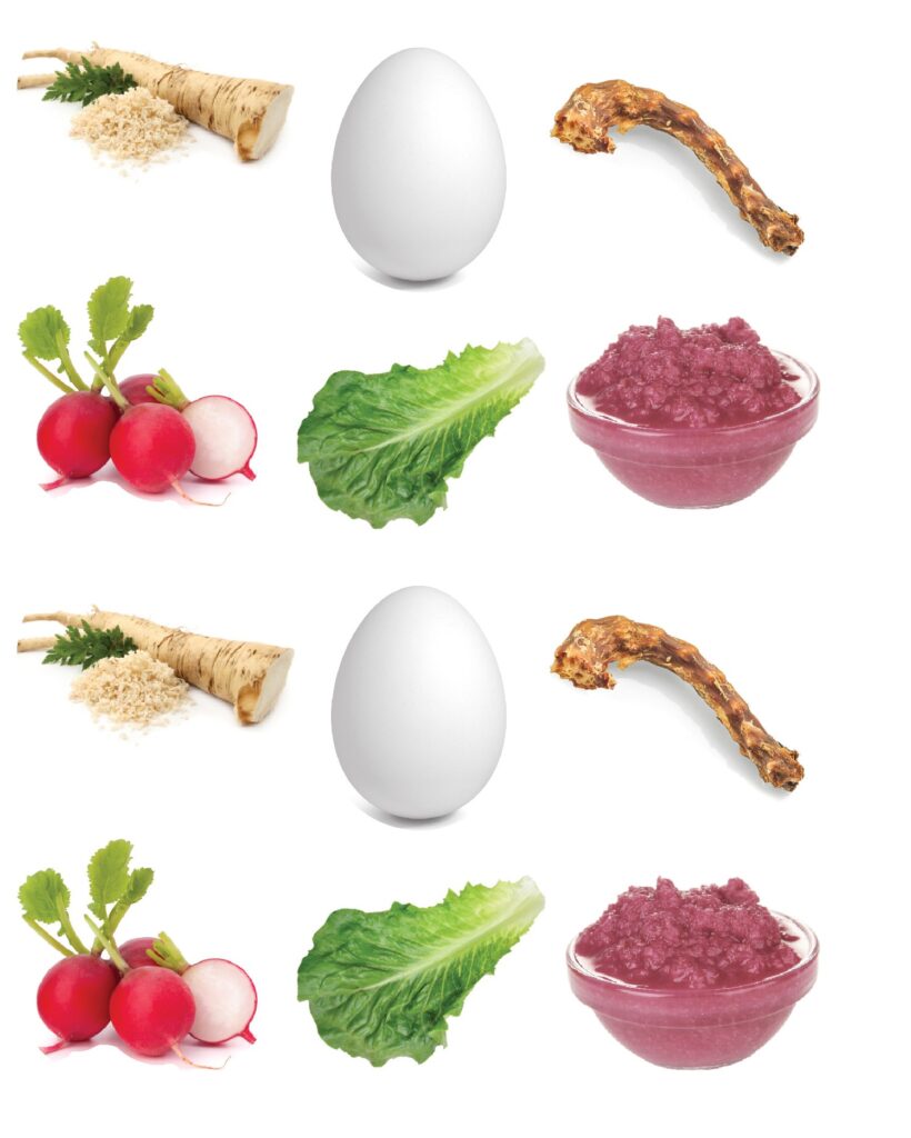 Seder Plate Symbol Stickers – Crafts and More