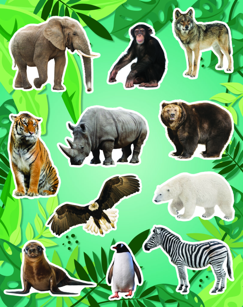 Zoo Animal Stickers – Crafts and More