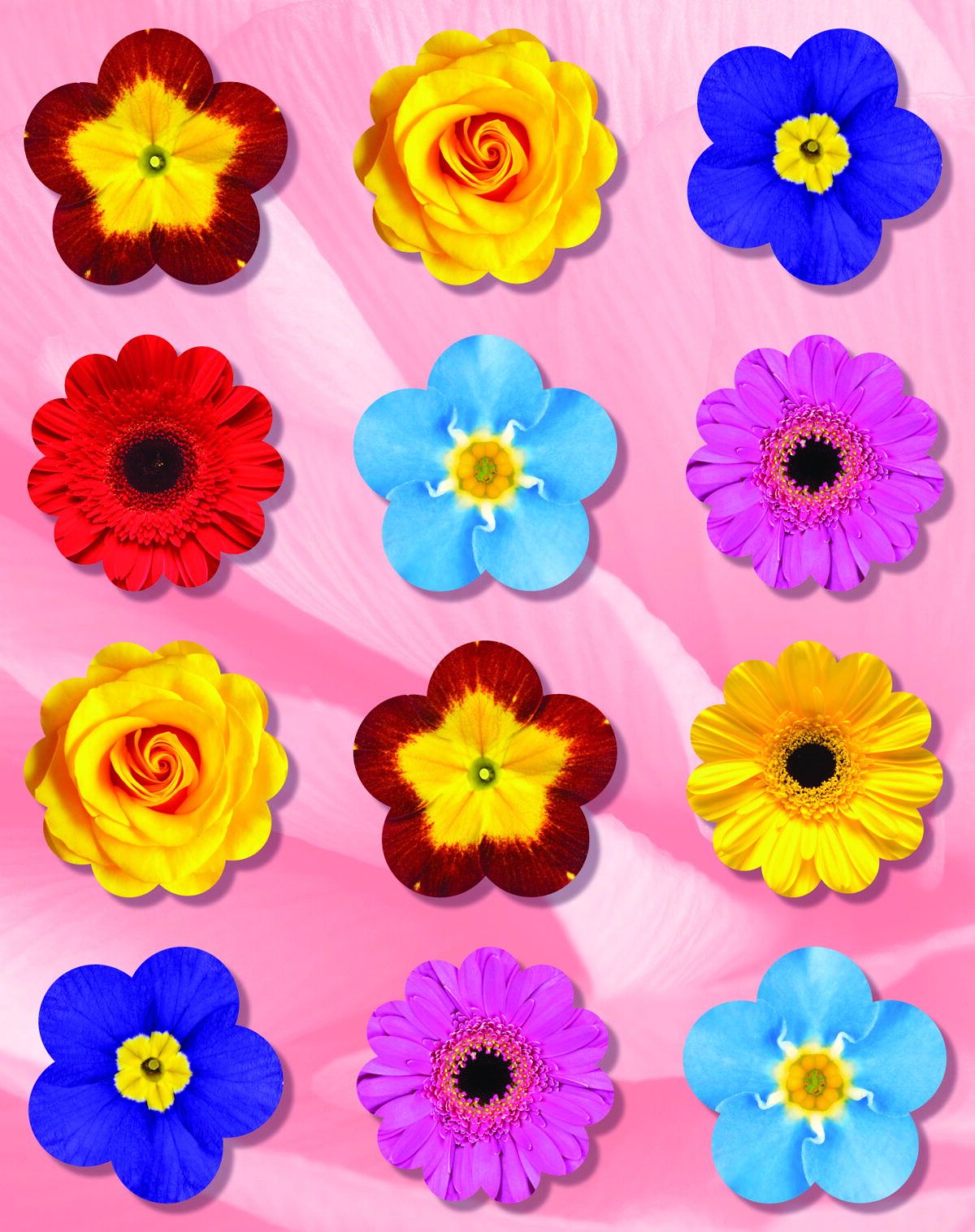 Scented Flower Stickers – Crafts and More