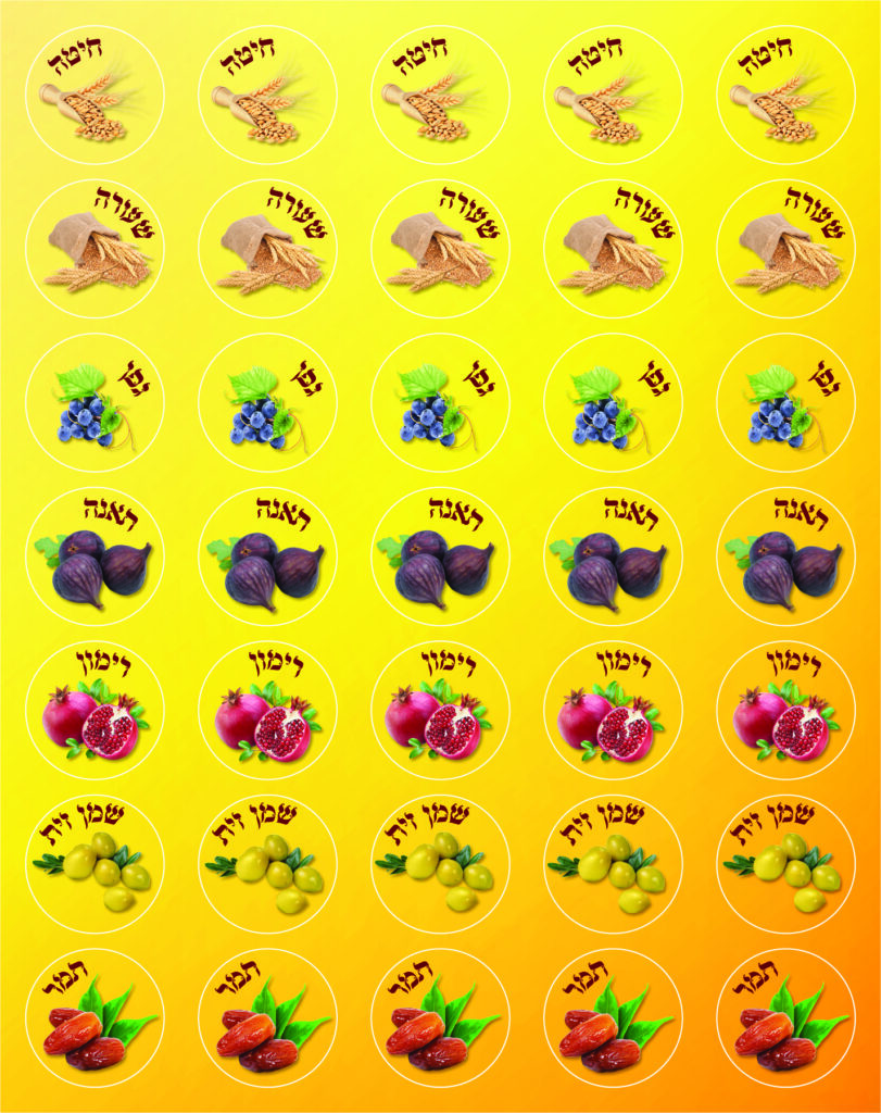 Shivas Haminim Stickers – Crafts and More